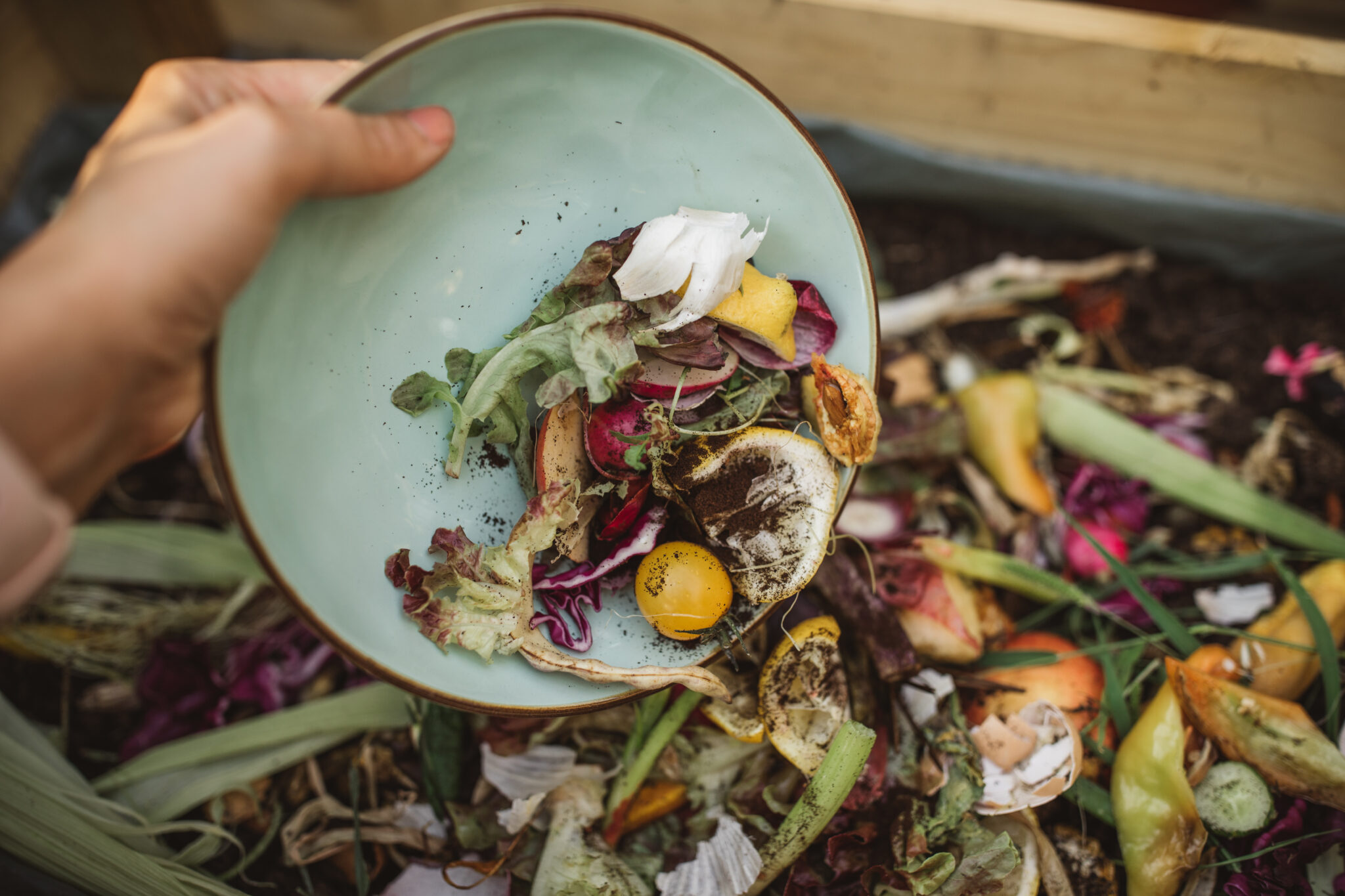Fighting Food Waste: How “Conscious Consumption” Helps Reduce The Burden?